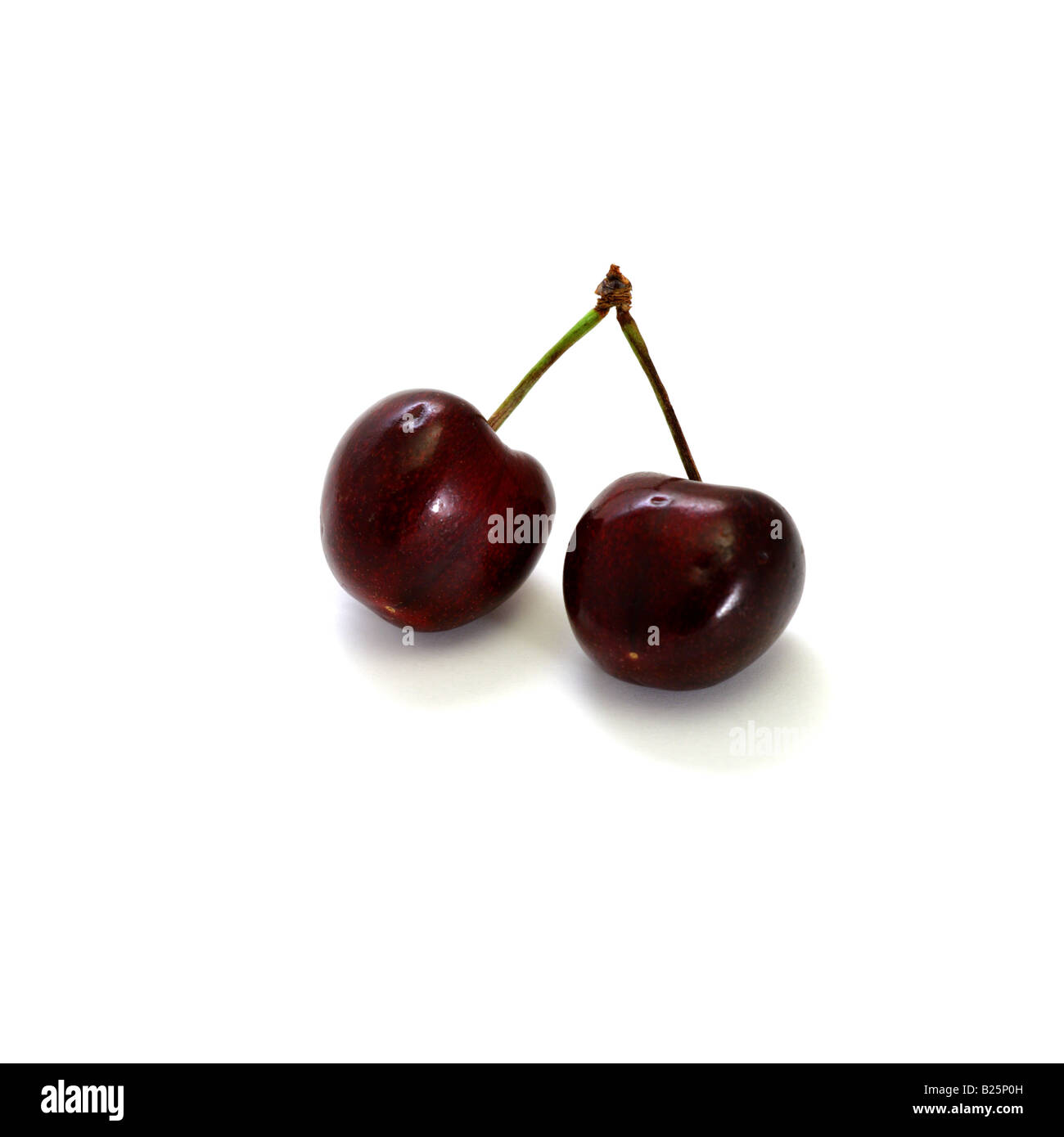 Cherry picker fruit Cut Out Stock Images & Pictures - Alamy