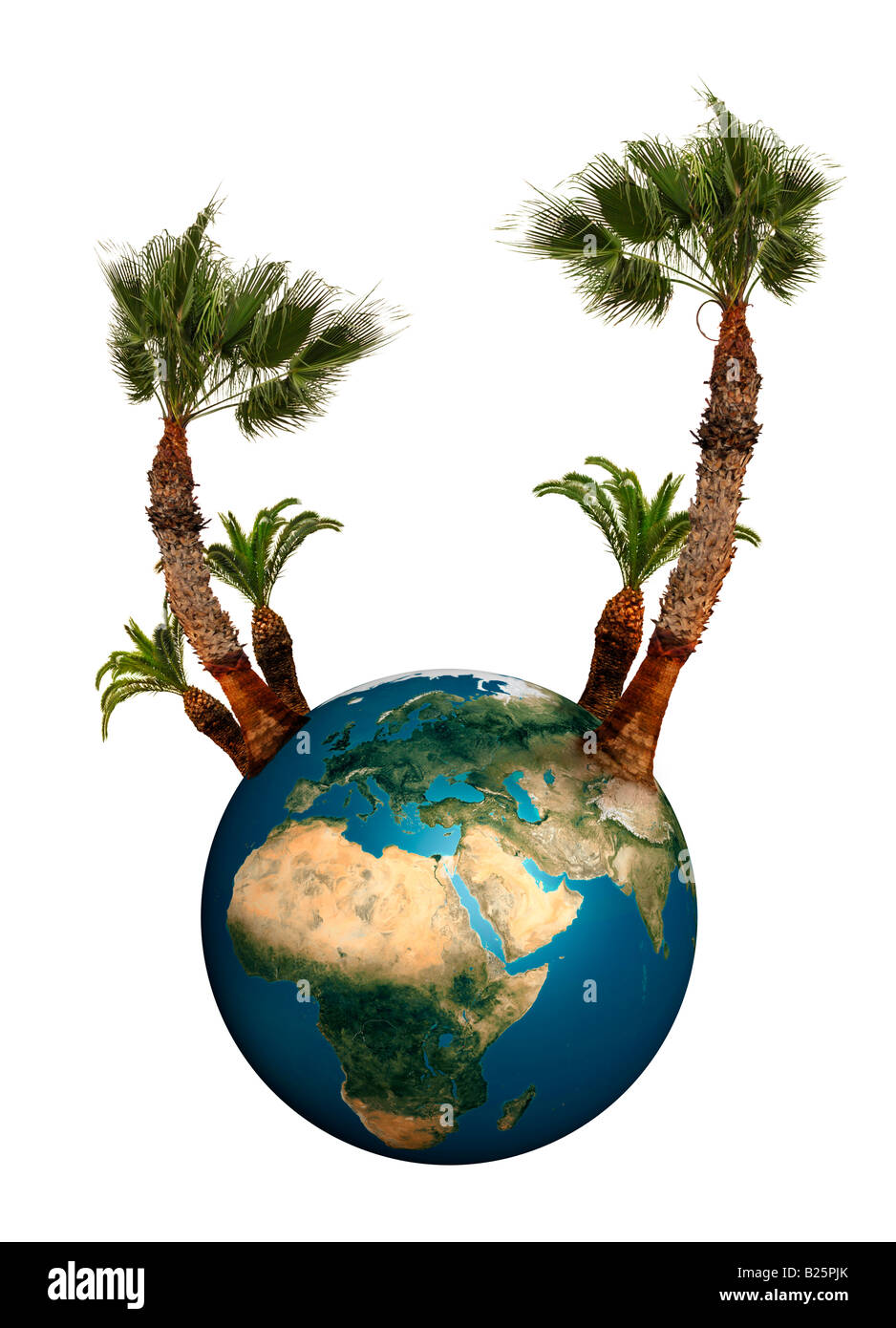 The Earth globe with palm trees Stock Photo - Alamy