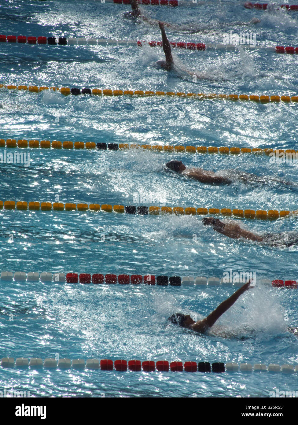 Male swimmers in olympic pool in rome hi-res stock photography and ...