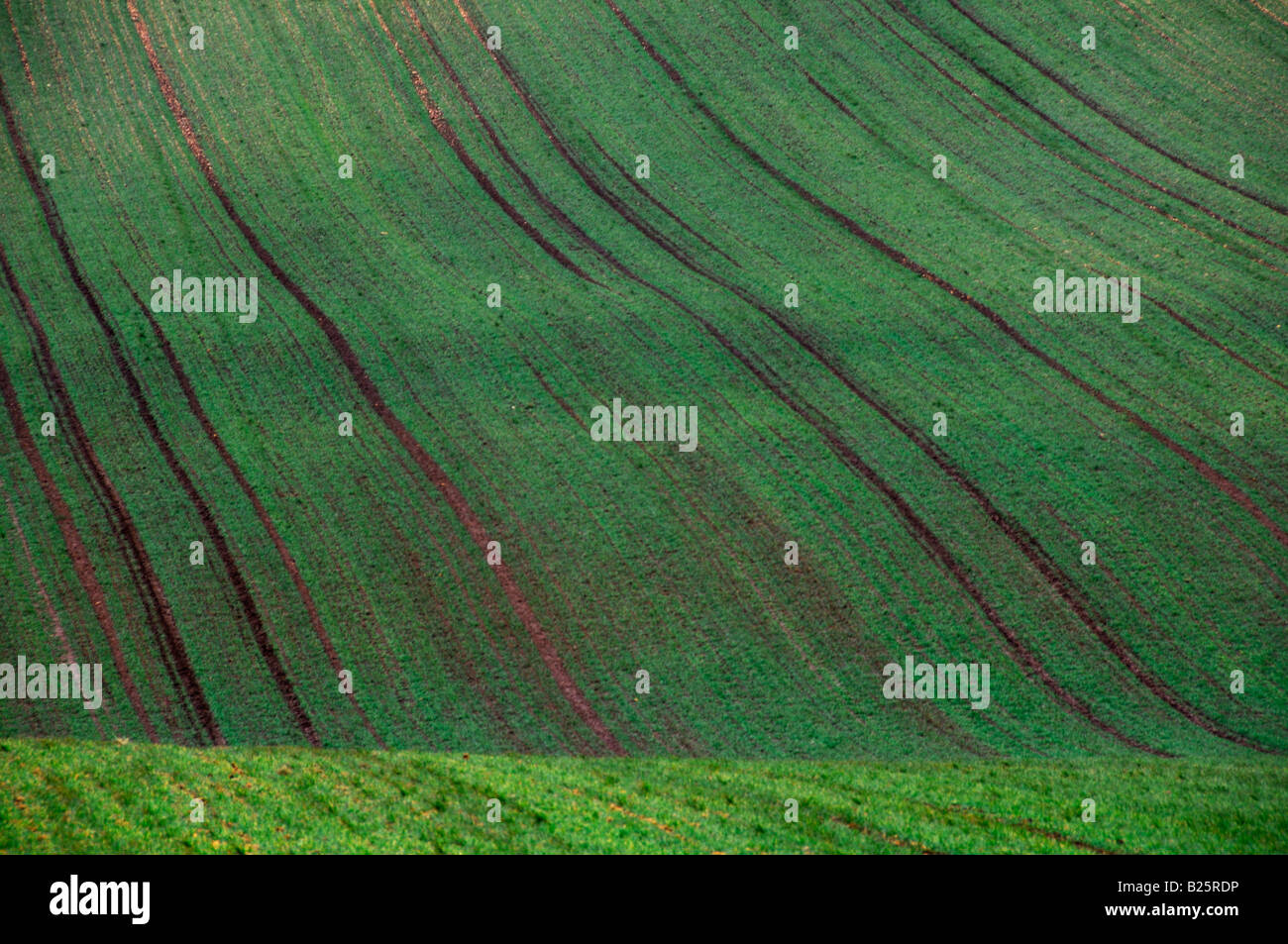 Cotswolds texture hi-res stock photography and images - Alamy