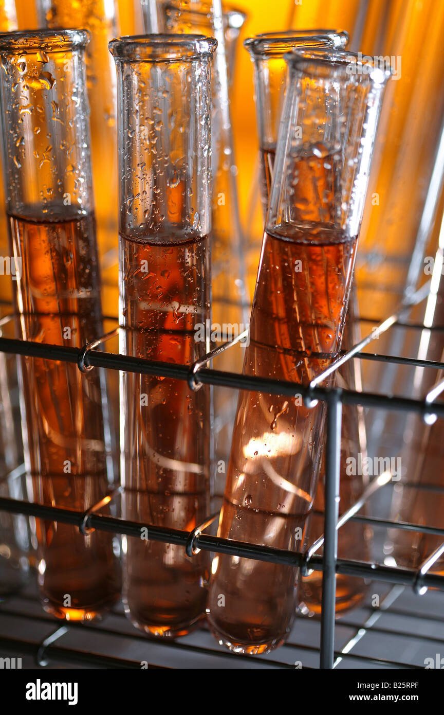 Rack chemistry apparatus glassware hi-res stock photography and images ...