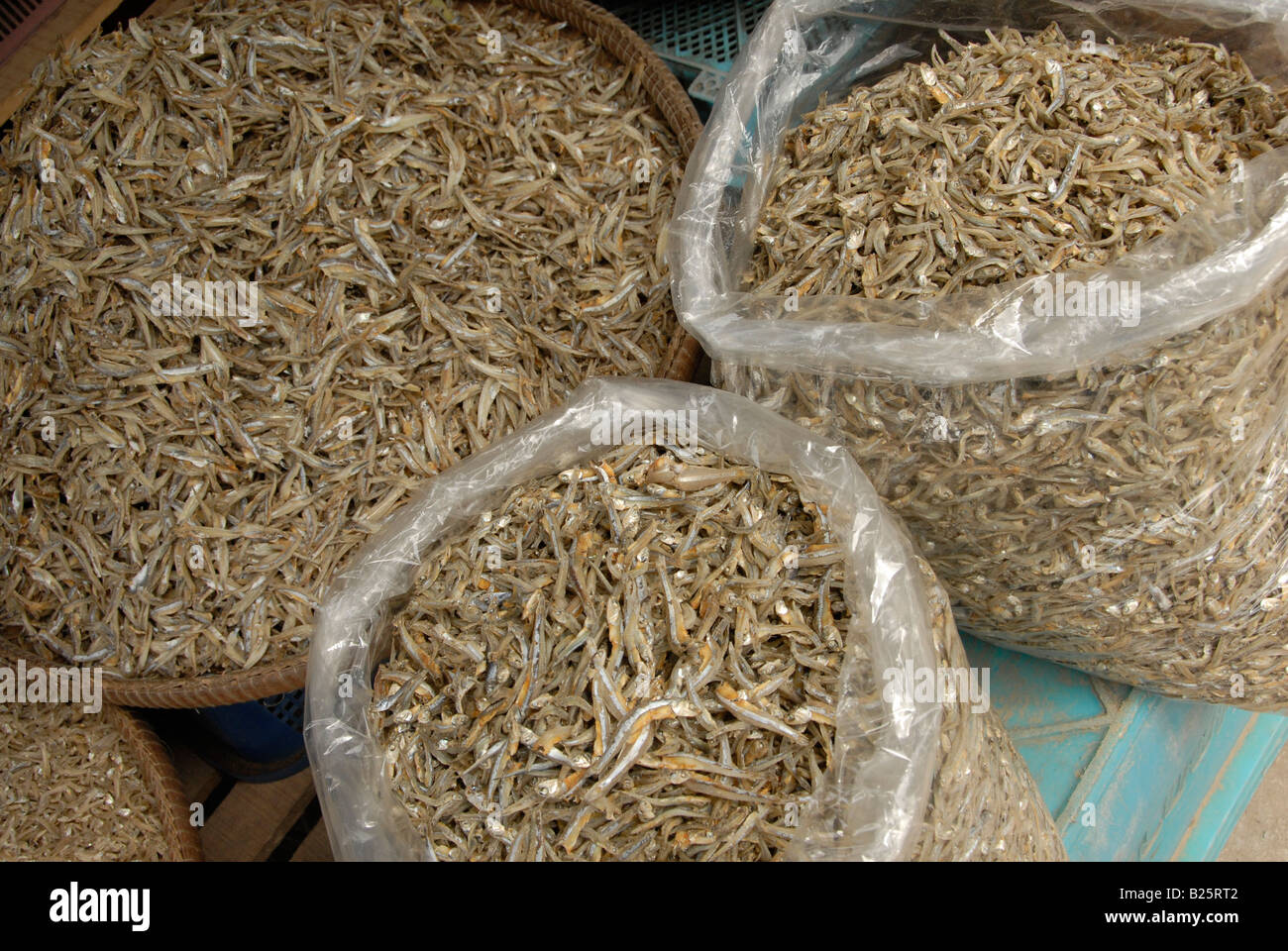 dried small fish, phuket , thailand Stock Photo - Alamy