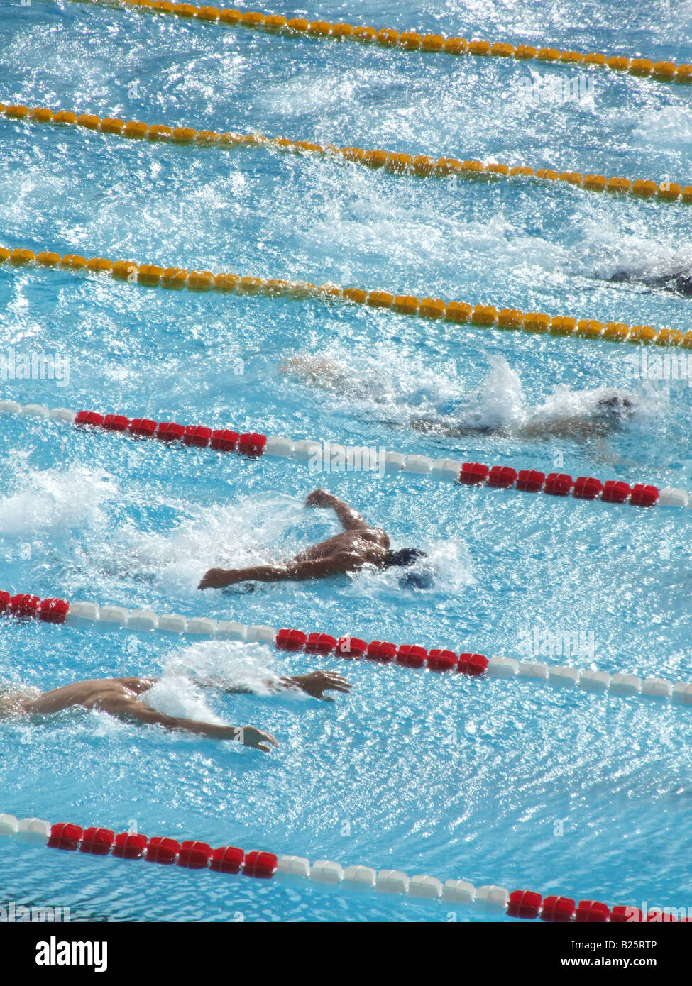 male swimmers in olympic pool in rome, italy Stock Photo - Alamy