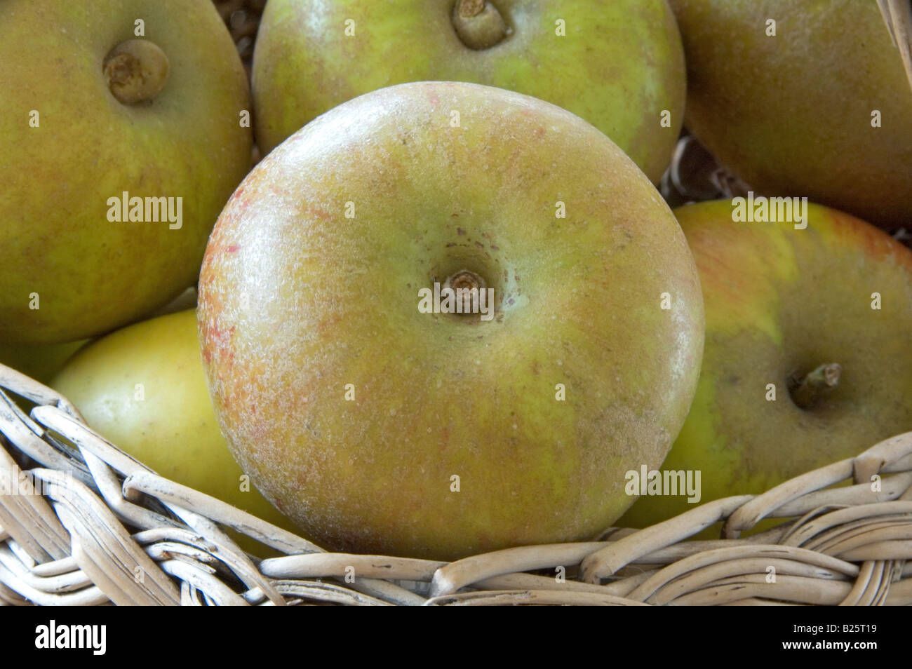 Ashmeads Kernel Apples in an old wicker basket Stock Photo - Alamy