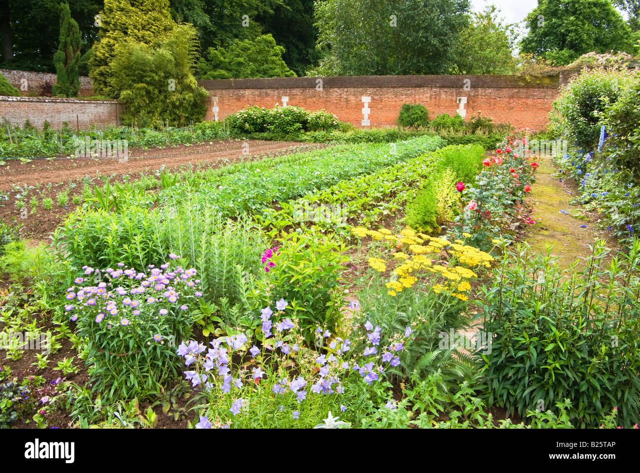 Potager garden hi-res stock photography and images - Alamy