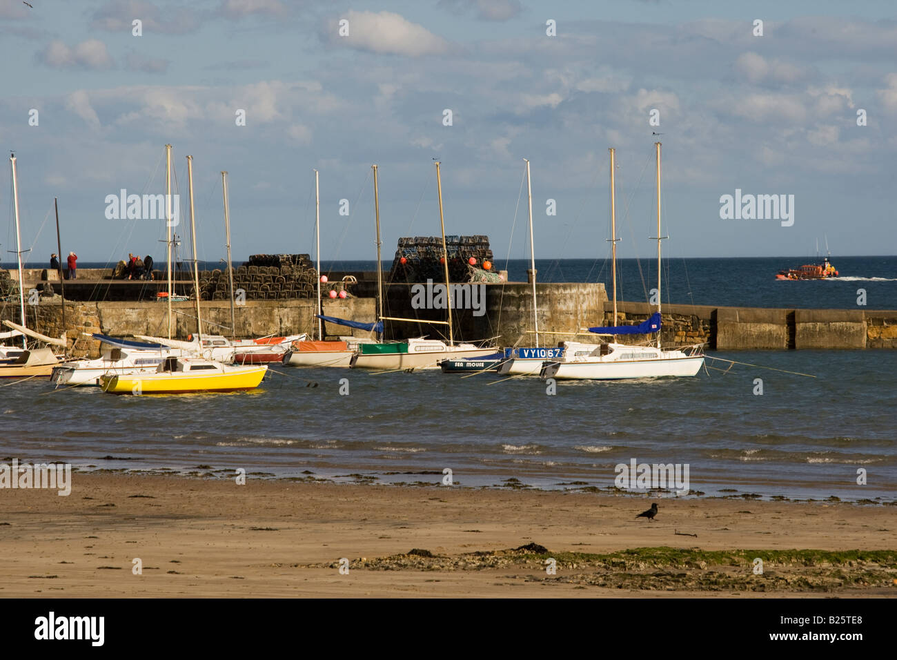 Beadnell hi-res stock photography and images - Alamy