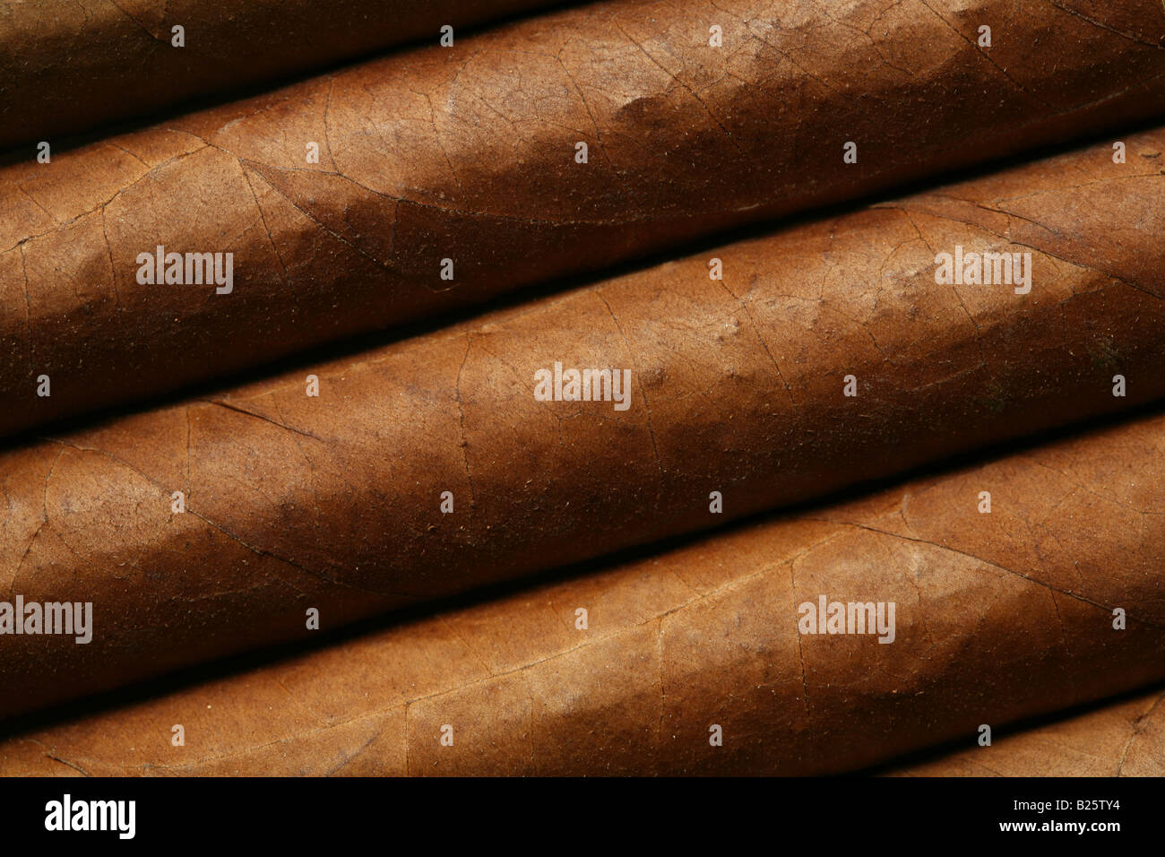 Havana cigars texture Stock Photo - Alamy
