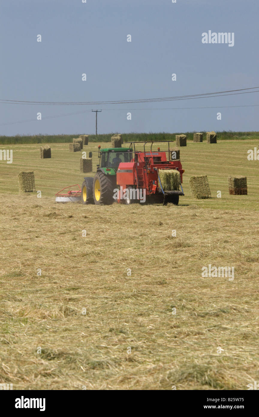 Collecting gathering harvesting hay hi-res stock photography and images ...
