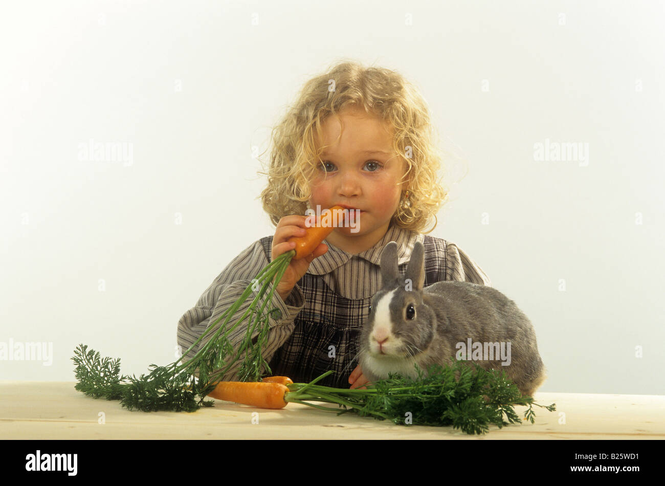 Rabbit eating carrot hi-res stock photography and images - Alamy