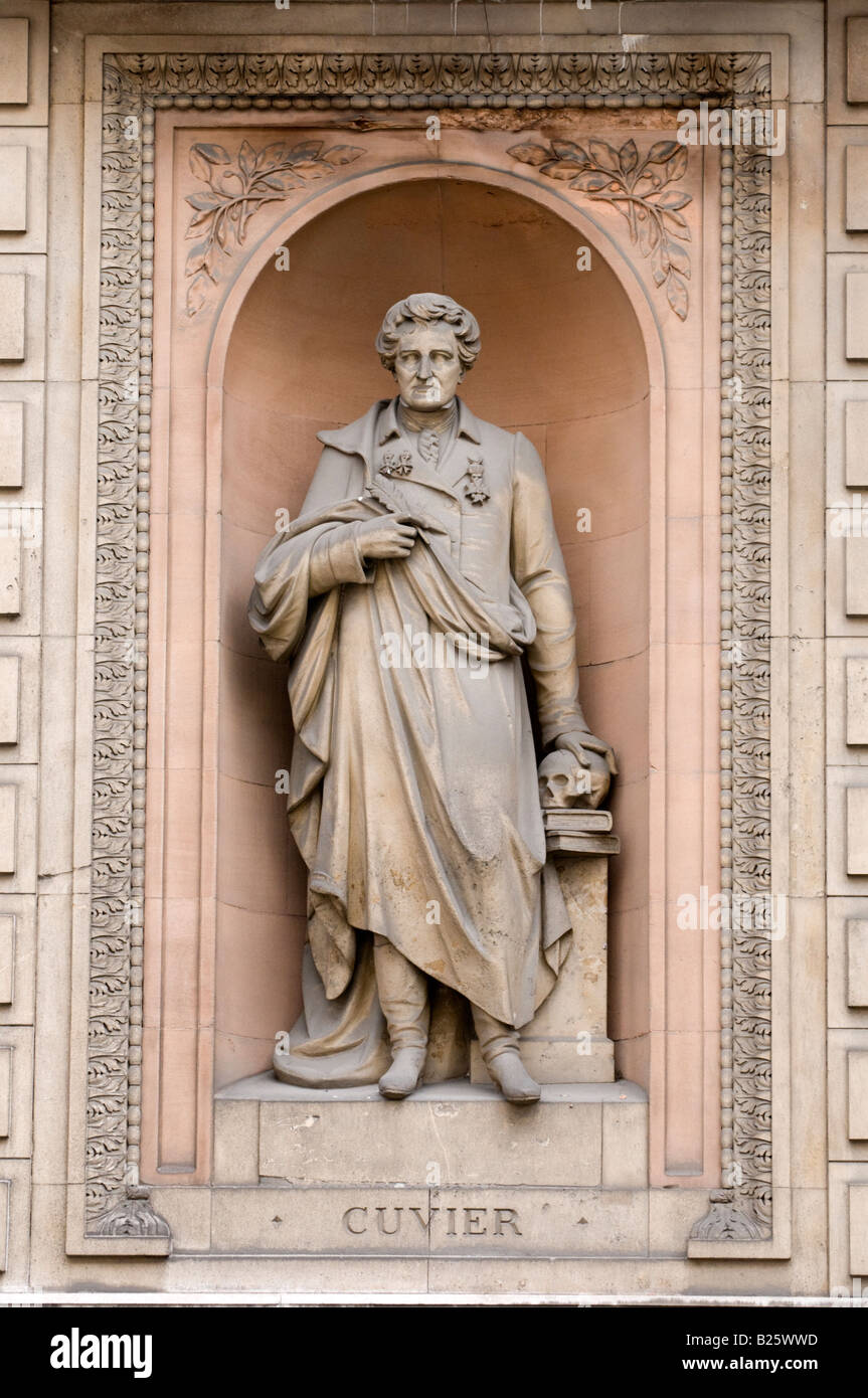 Georges cuvier hi-res stock photography and images - Alamy