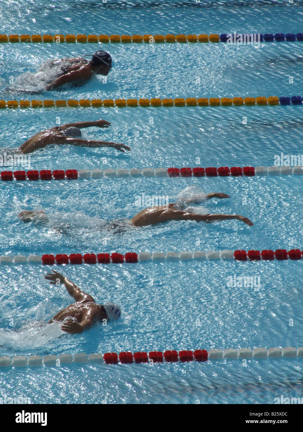 male swimmers in olympic pool in rome, italy Stock Photo - Alamy