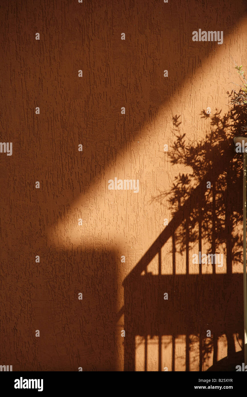 many plant pots shadow on apartment terrace balcony wall Stock Photo ...