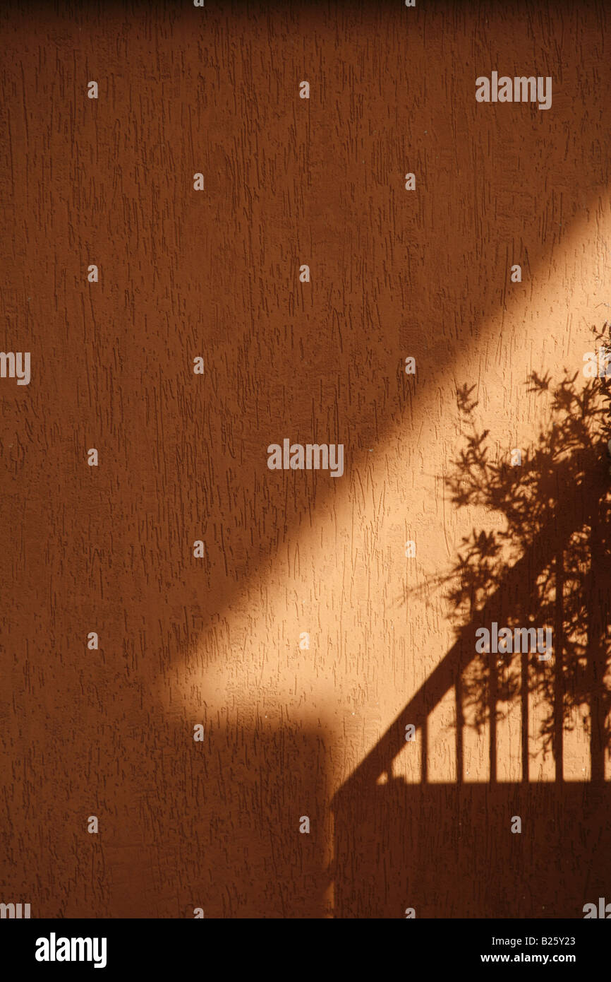 many plant pots shadow on apartment terrace balcony wall Stock Photo ...