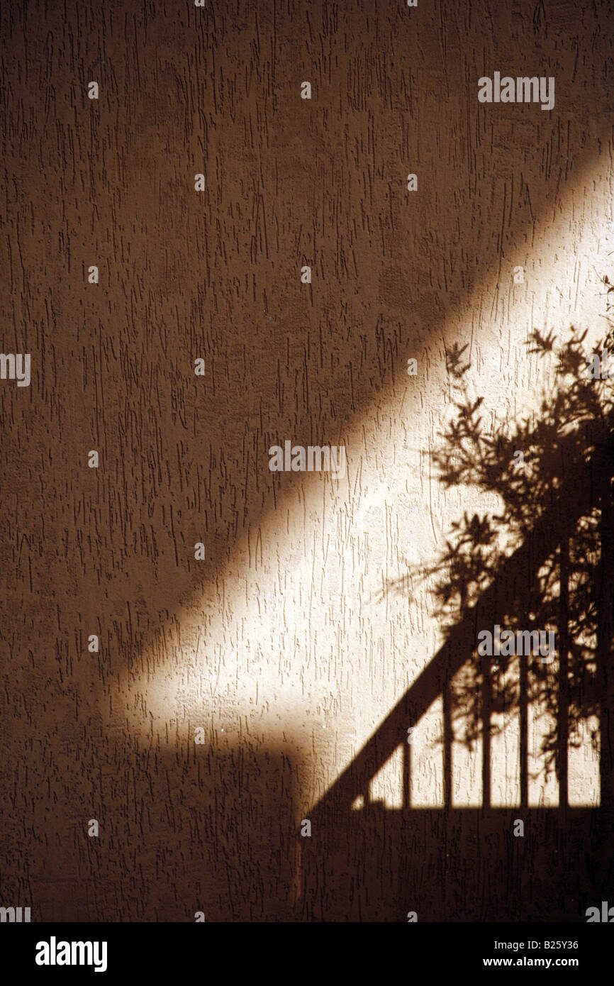 many plant pots shadow on apartment terrace balcony wall Stock Photo ...