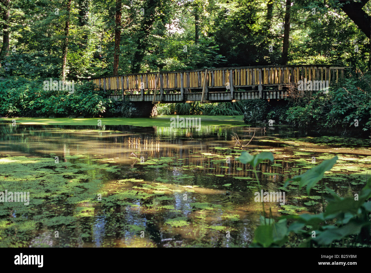 Bridge over pond hi-res stock photography and images - Alamy