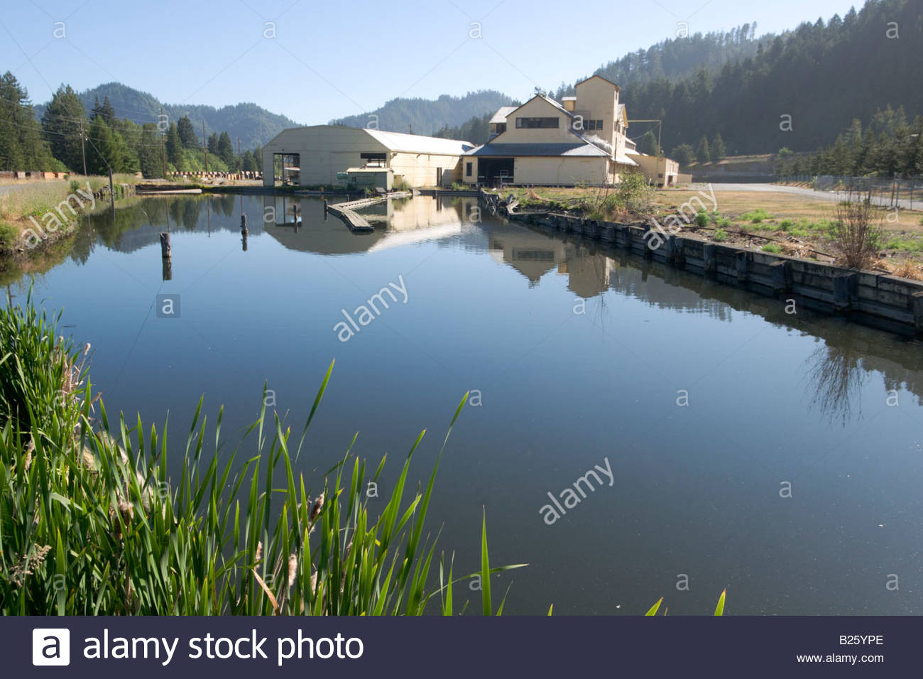 Lumber Mill California High Resolution Stock Photography and Images - Alamy