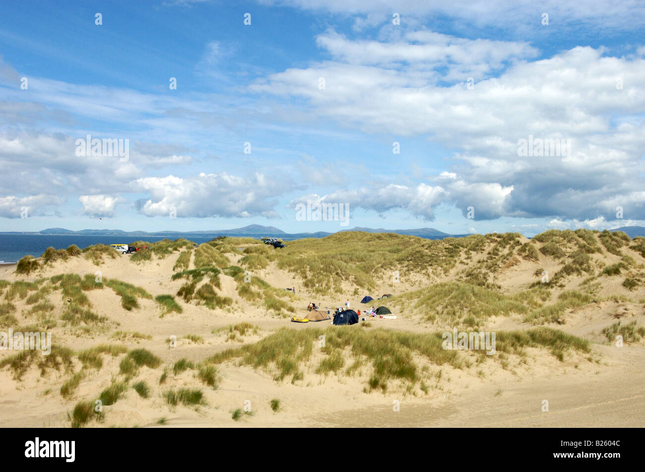 People camping amongst the sand dunes on Shell Island, North Wales ...