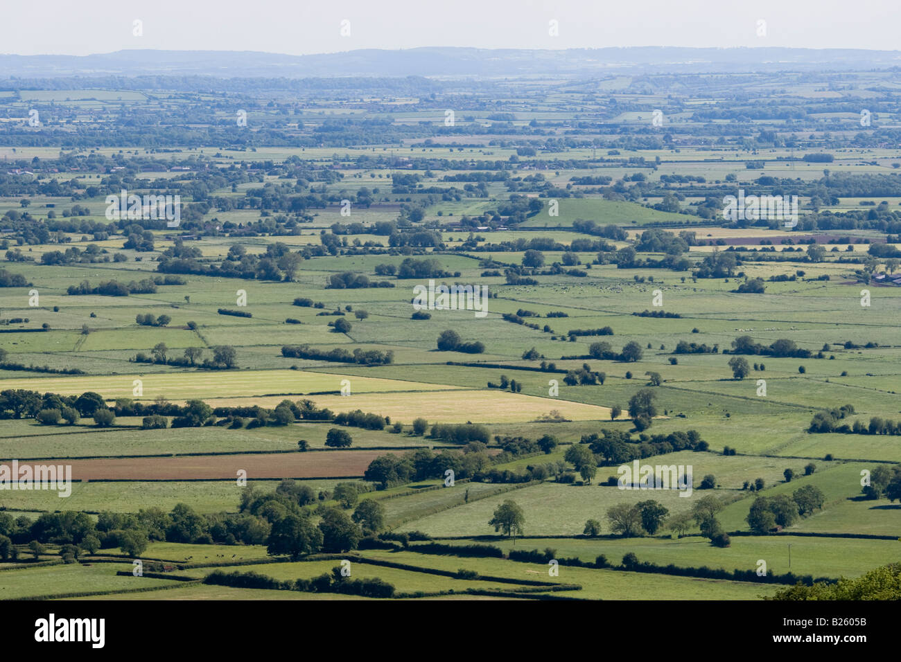 Somerset Levels & Moors, UK Stock Photo - Alamy