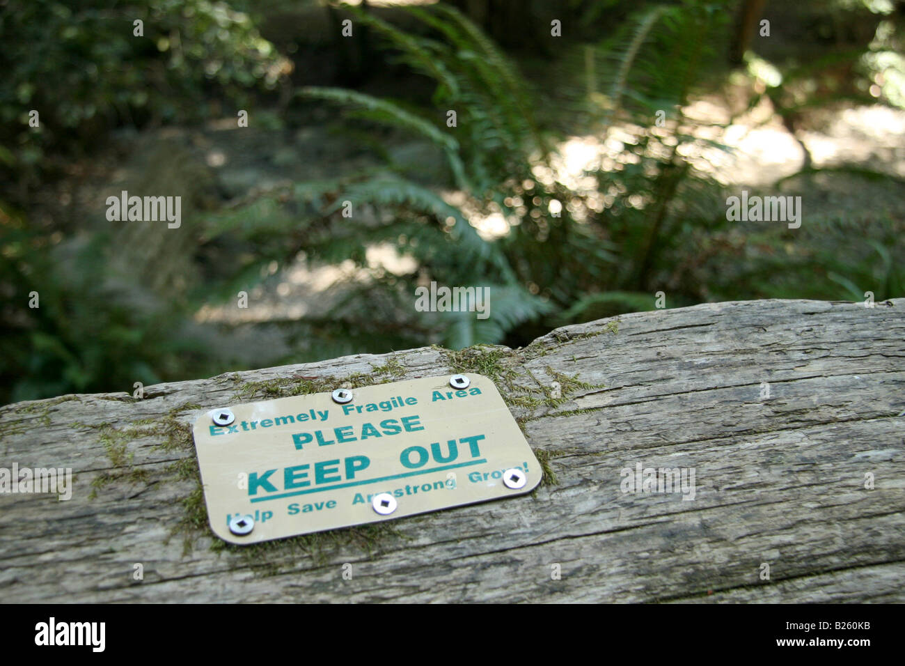 "Extremely Fragile Area Please Keep Out Help Save Armstrong Grove ...