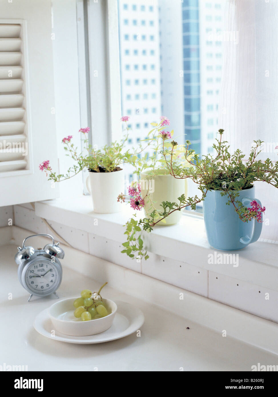 Potted plants on window bay Stock Photo - Alamy