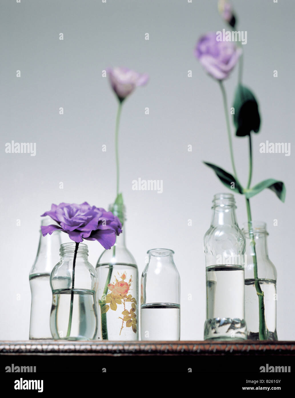 Flowers in bottles Stock Photo - Alamy