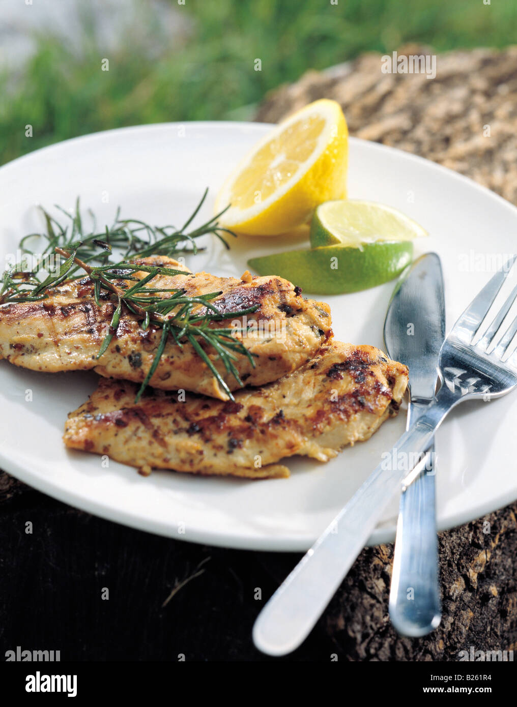 Grilled chicken and lemon on plate Stock Photo - Alamy