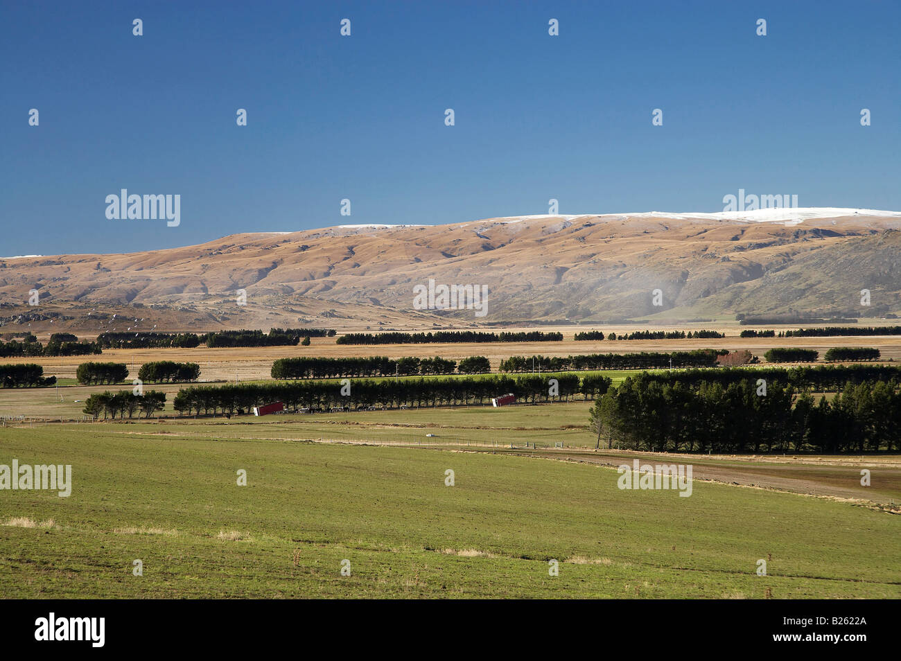 Taieri scroll plain hi-res stock photography and images - Alamy