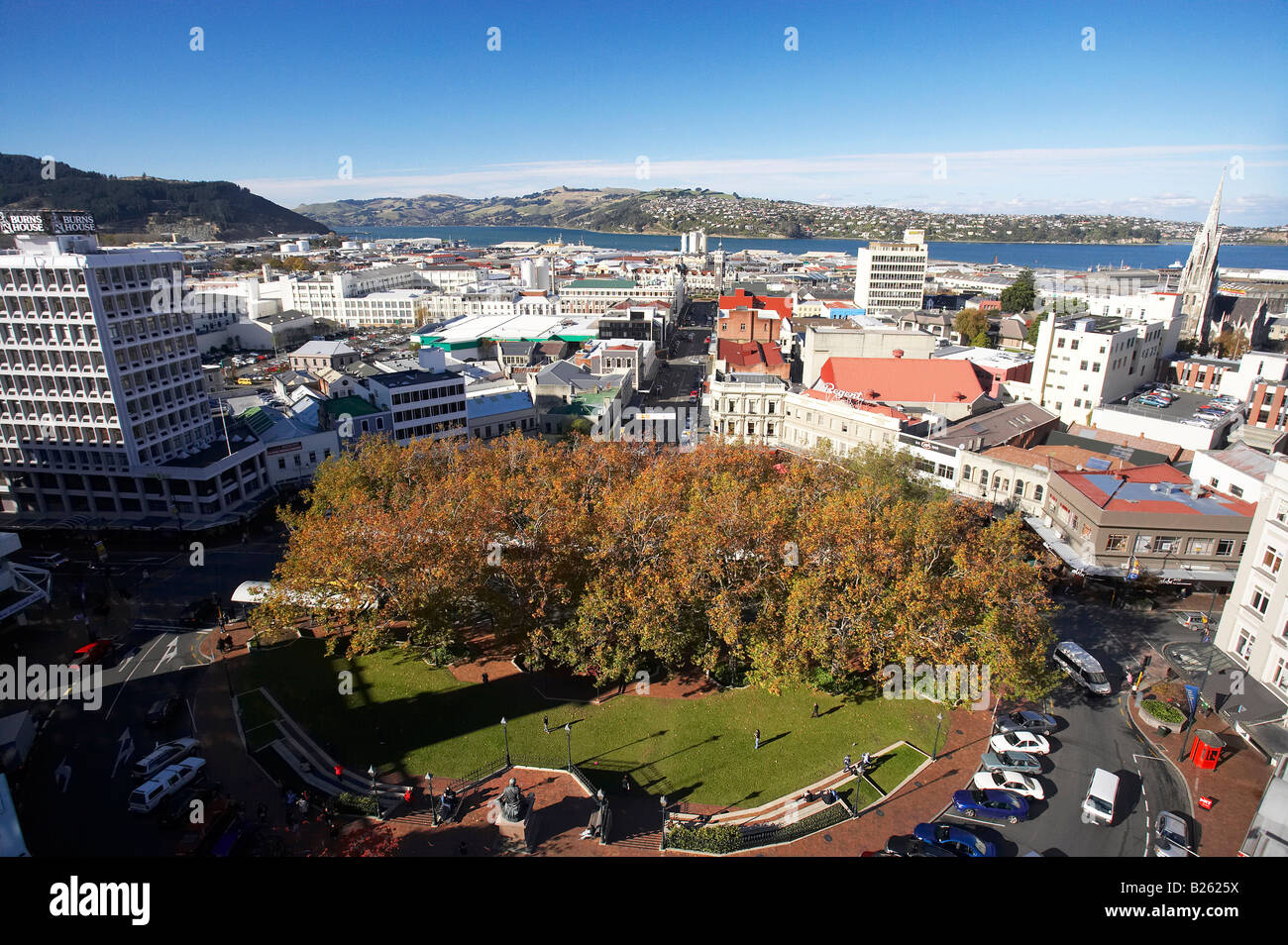 Autumn Trees The Octagon Dunedin Otago South Island New Zealand Stock ...