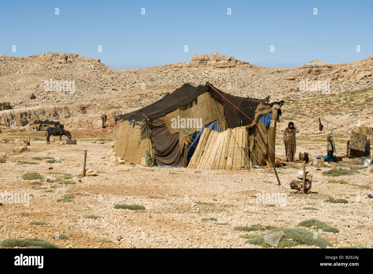 Bedouin camp in northern Lebanon Stock Photo - Alamy