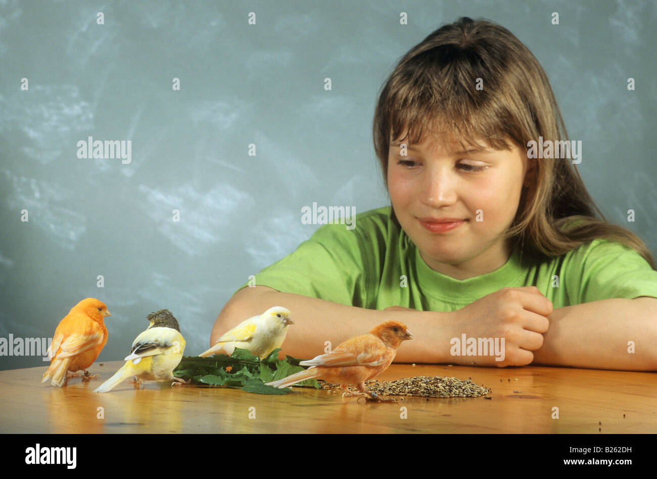 Four canaries hi-res stock photography and images - Alamy