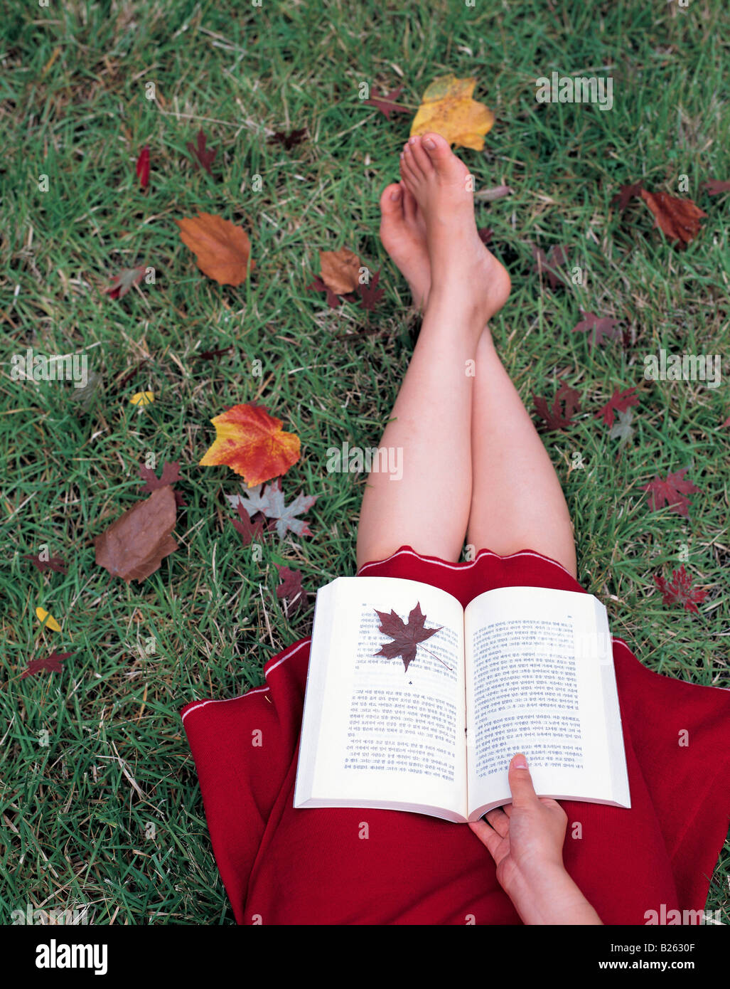 Woman sitting on grass reading book Stock Photo - Alamy
