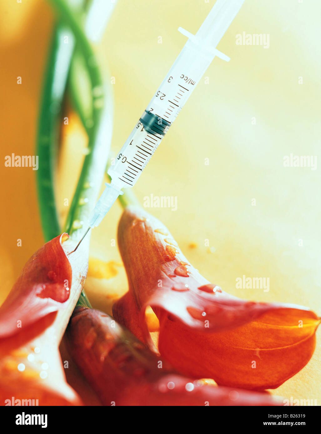 Flower and syringe Stock Photo - Alamy