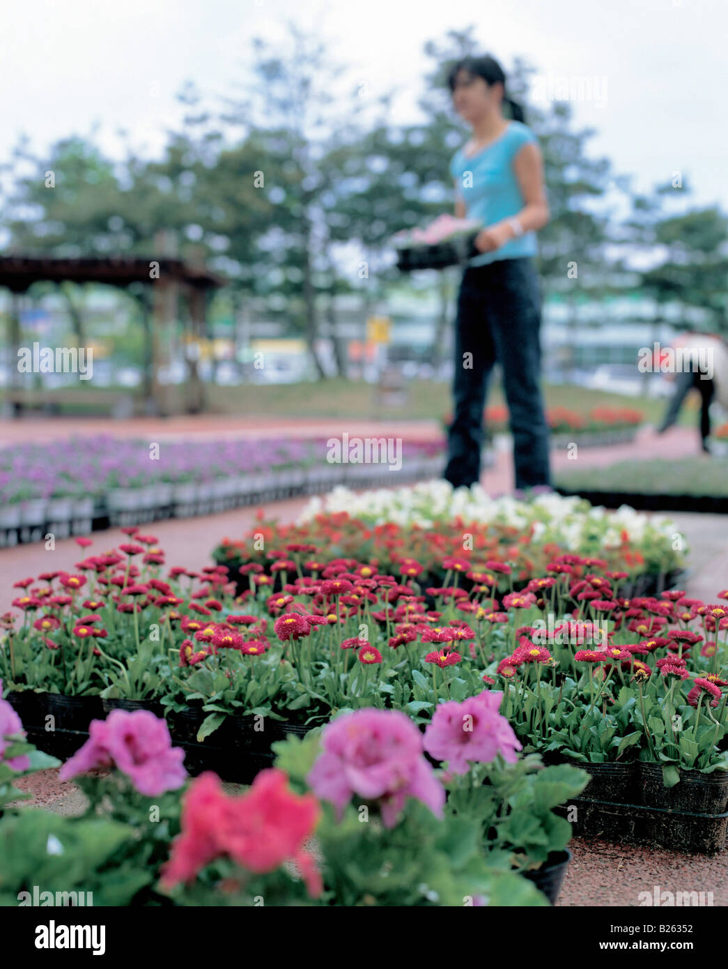Flowers in park Stock Photo - Alamy