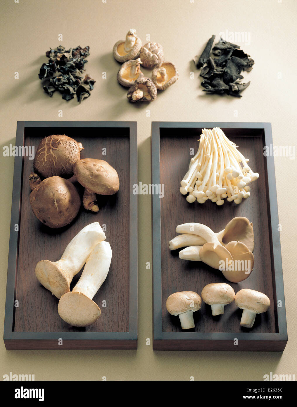 Selection of mushrooms Stock Photo - Alamy