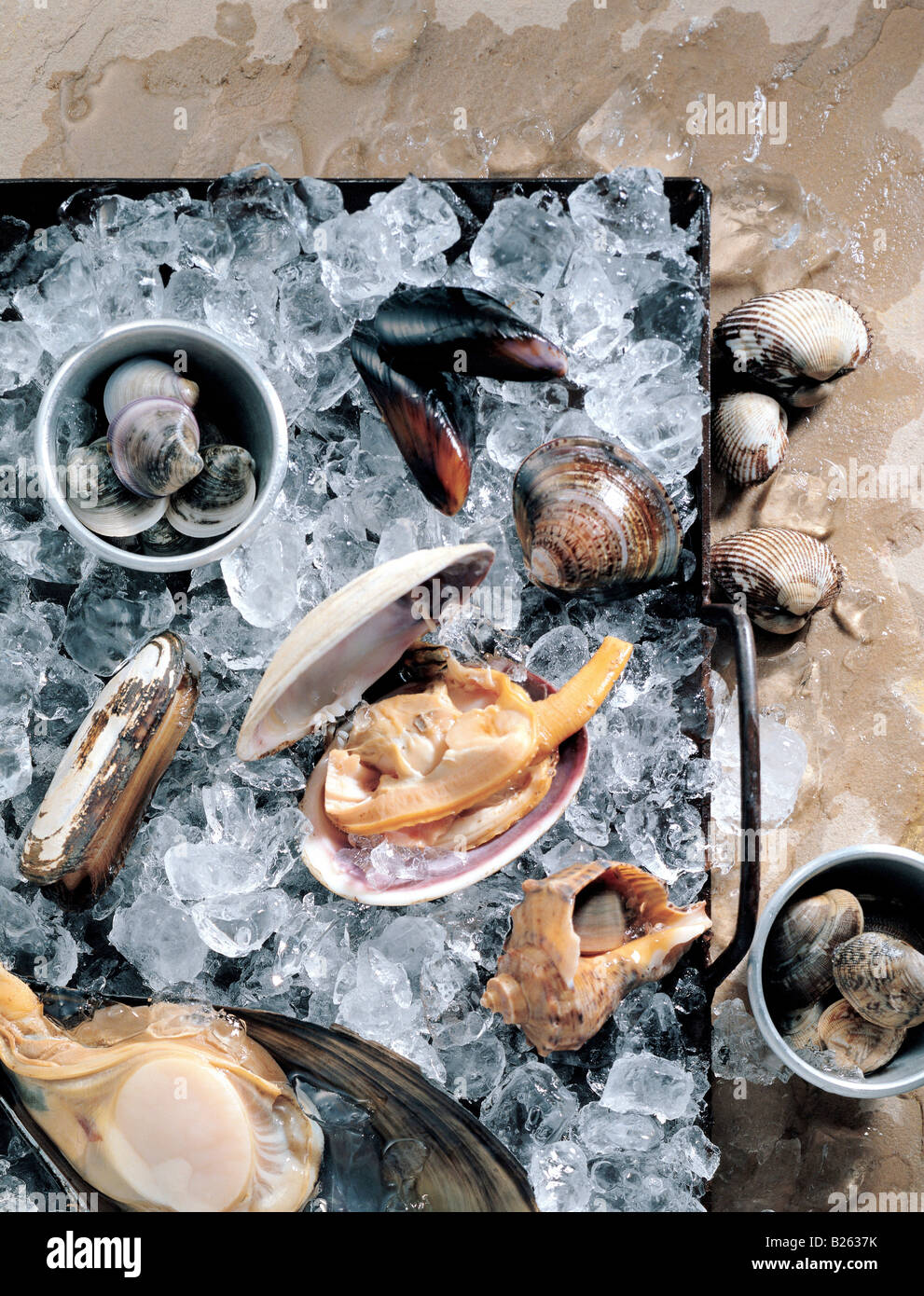 Shellfish on ice Stock Photo - Alamy