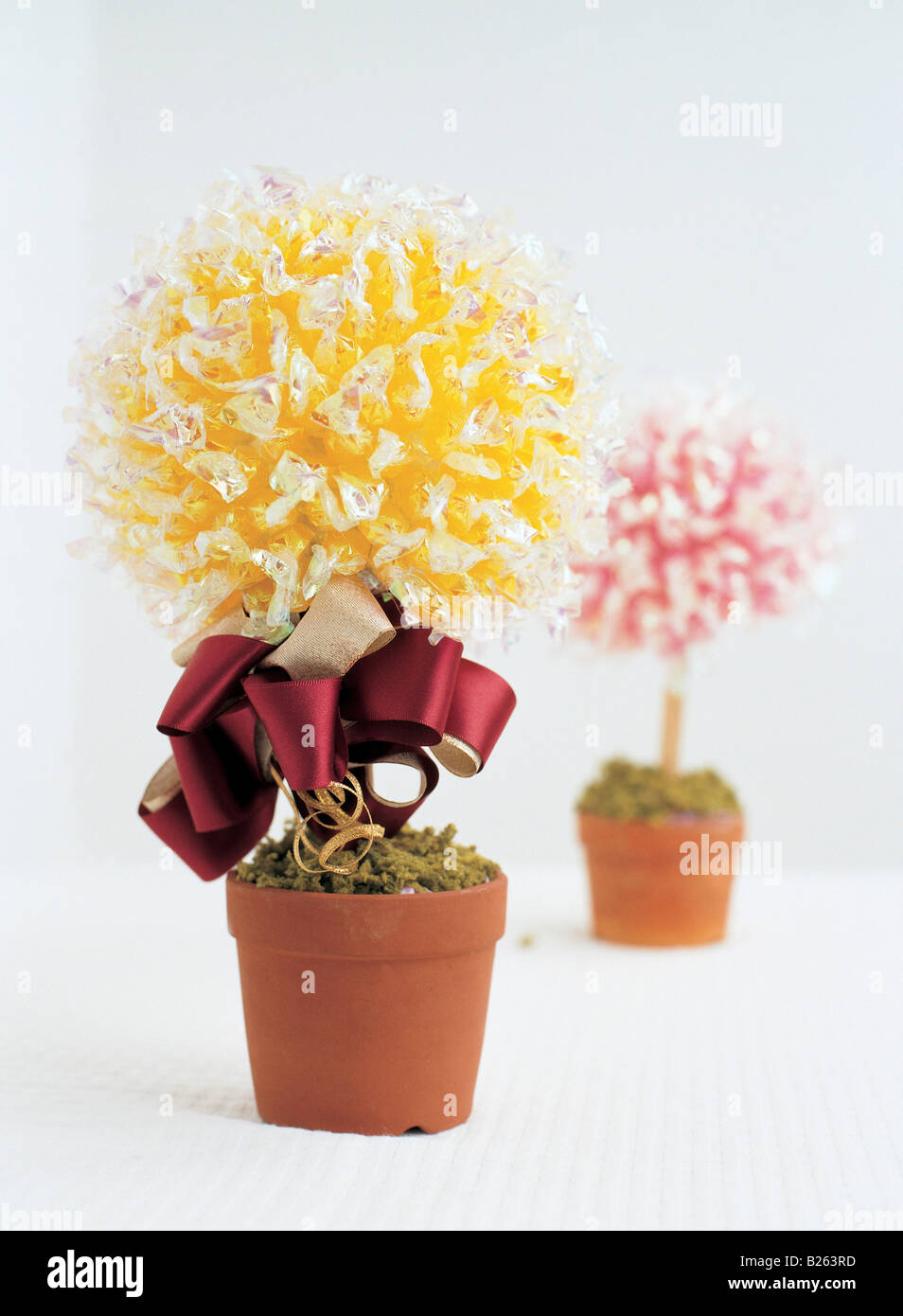 Flowers in pots Stock Photo - Alamy