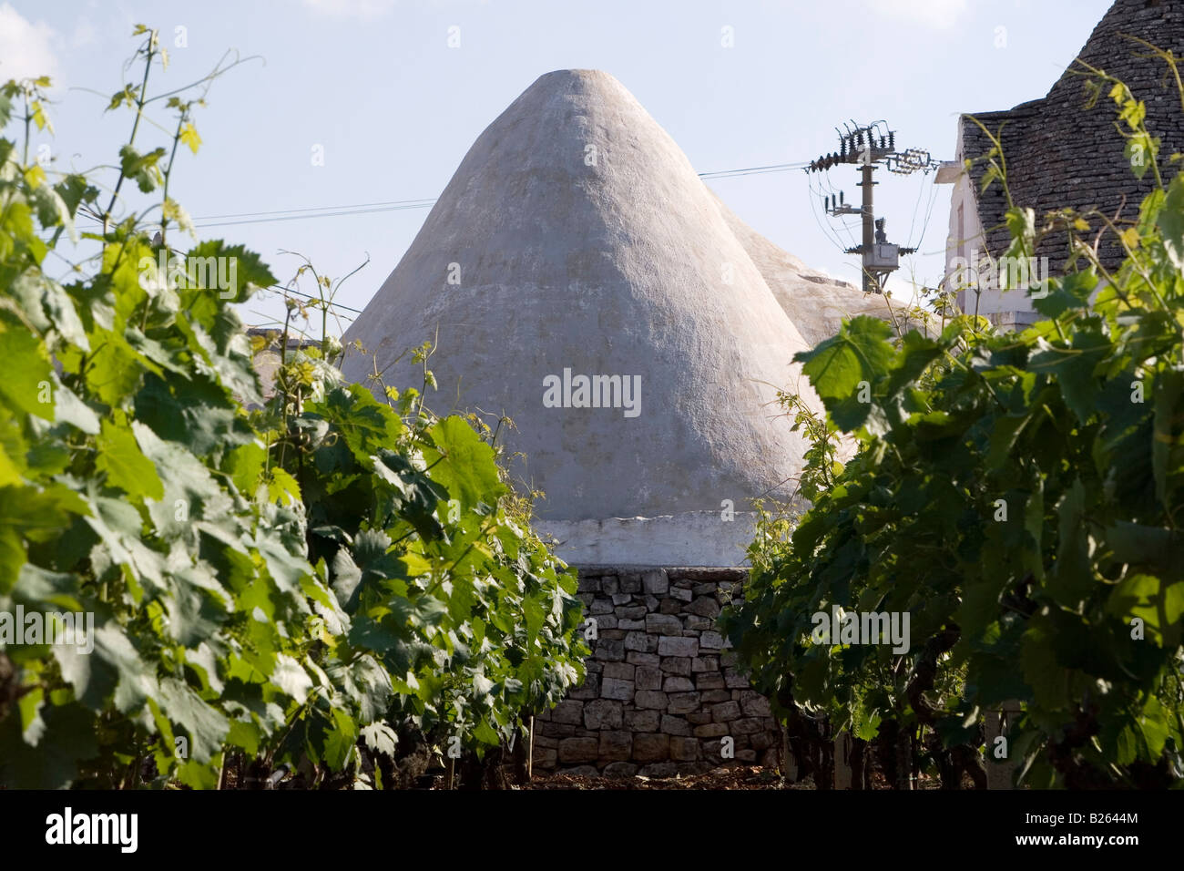 Ancient Trulli housing near to the historic town of Ostuni in Apulia ...
