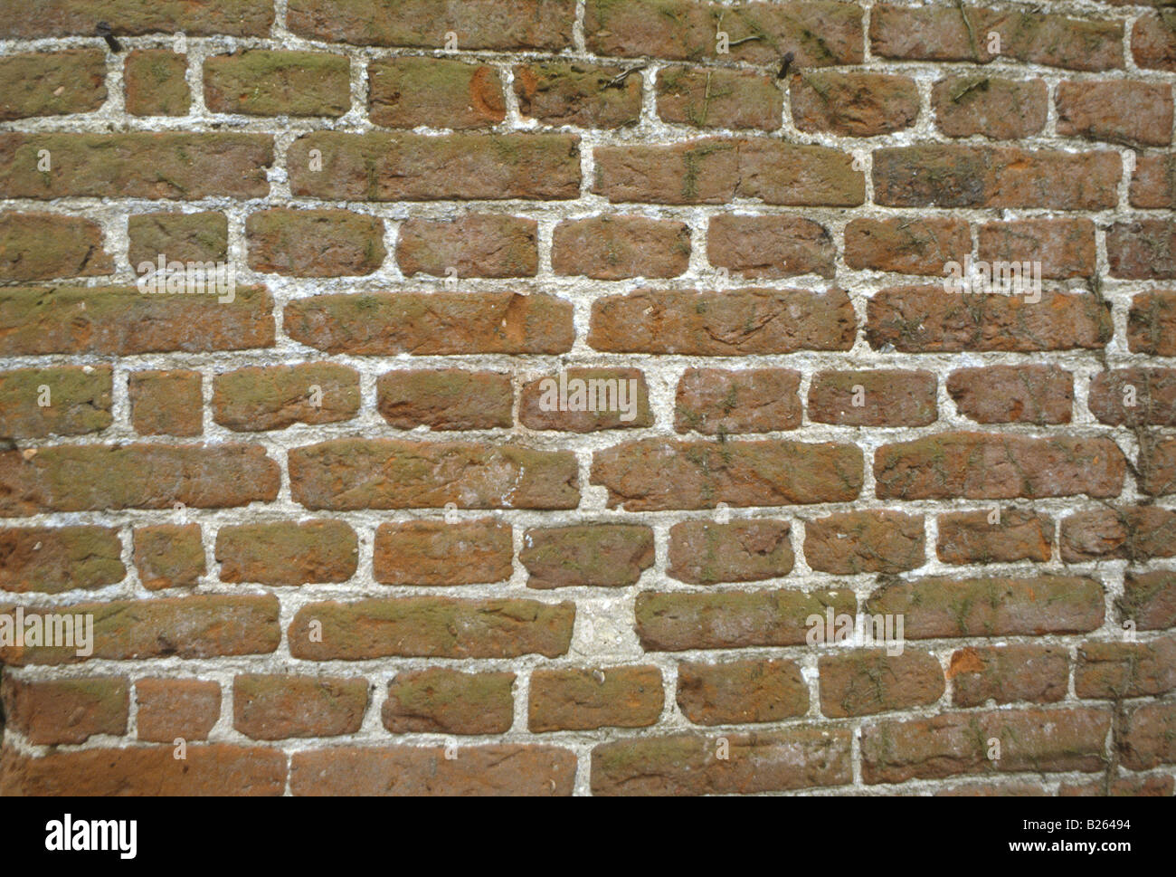 17th century Norfolk brick wall laid in English bond method Stock Photo ...