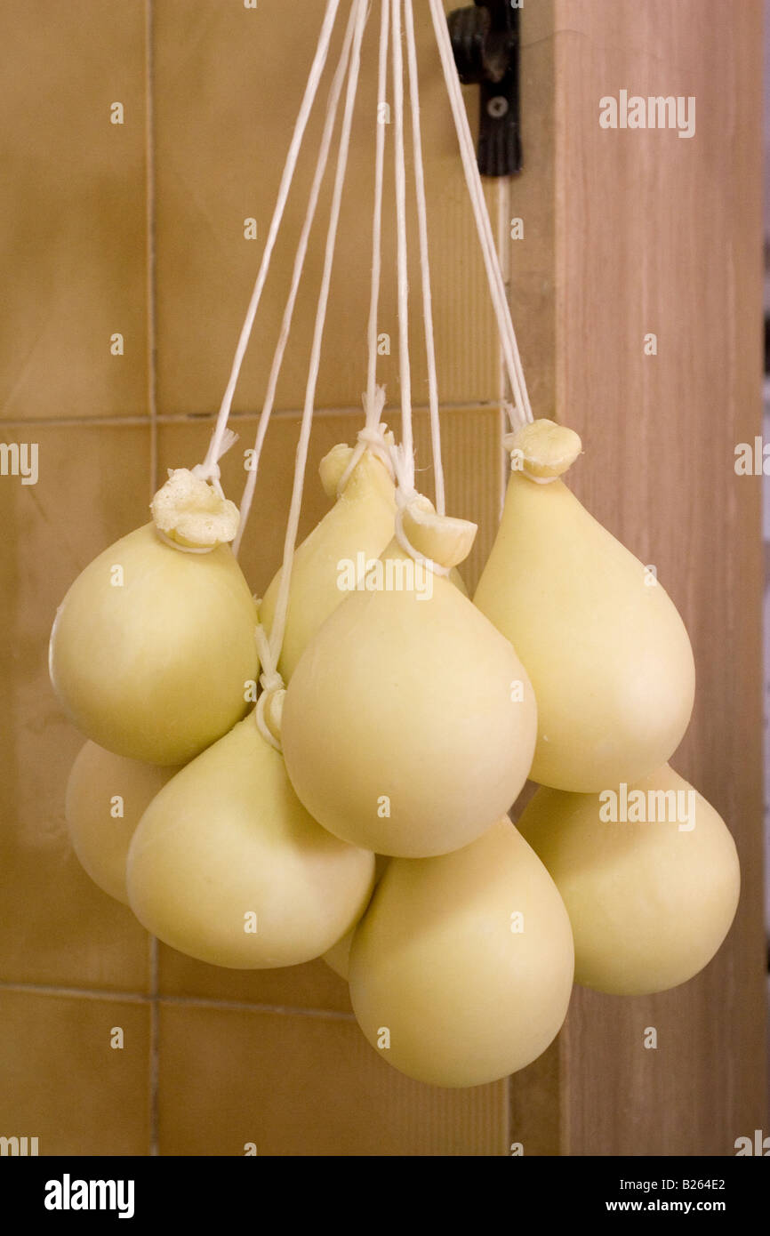 Buffalo mozzarella cheeses are hung in a shop near to Lesina, Italy ...