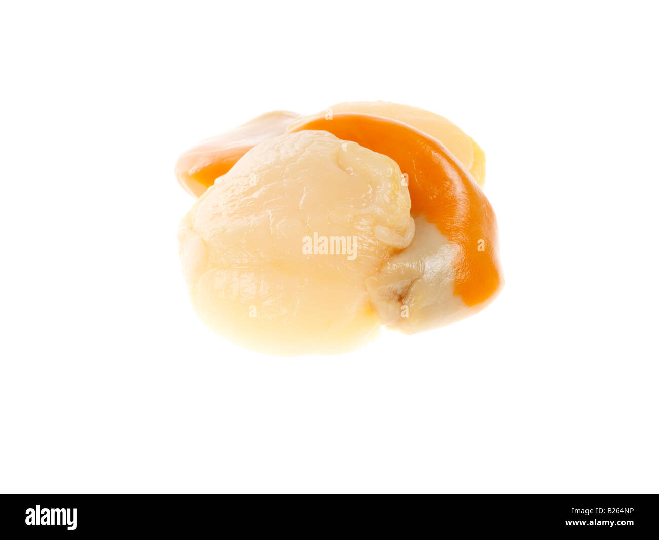 Scallops king hi-res stock photography and images - Alamy