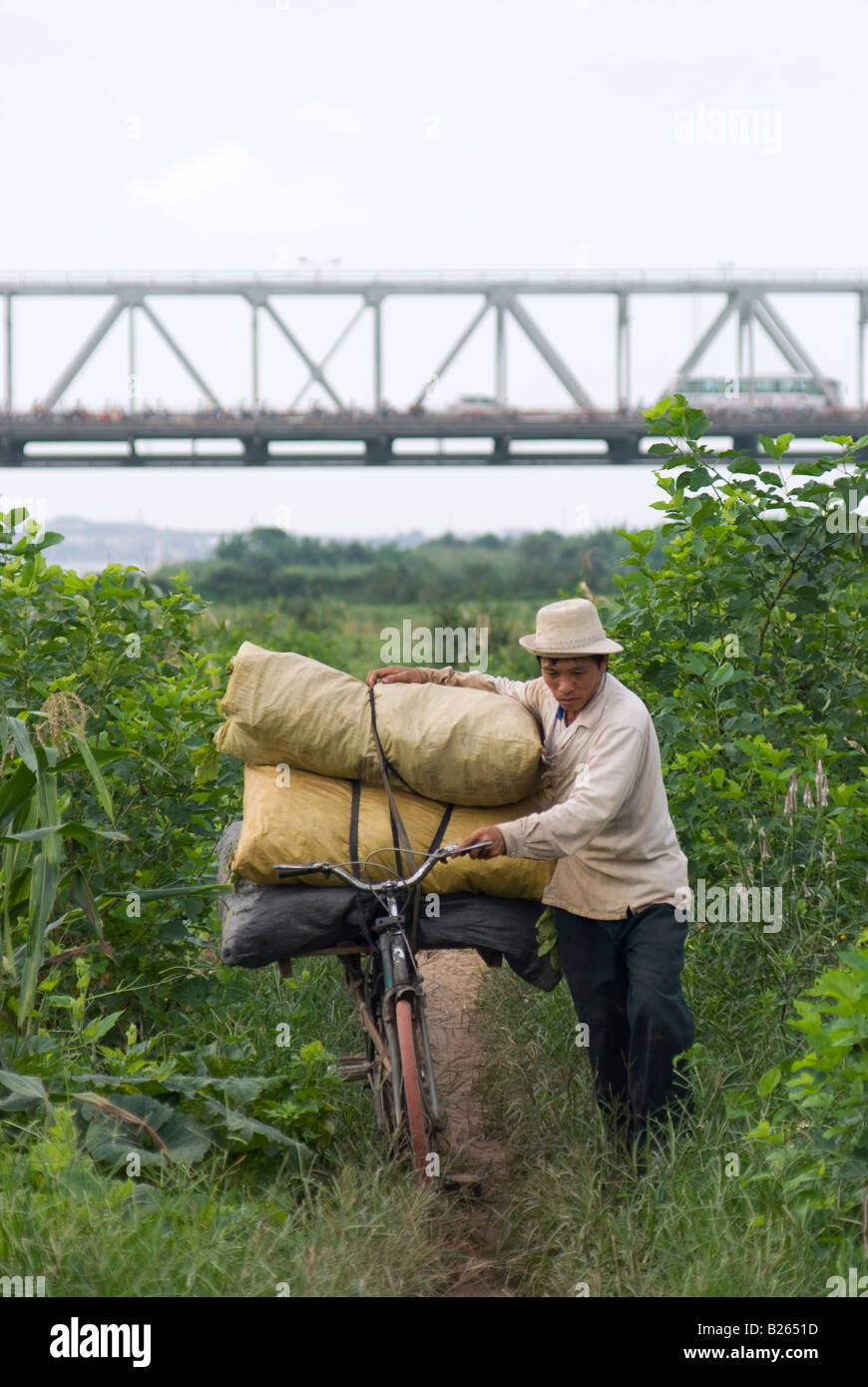 Vietnamese farmer walking with his heavily loaded bicycle Stock Photo ...