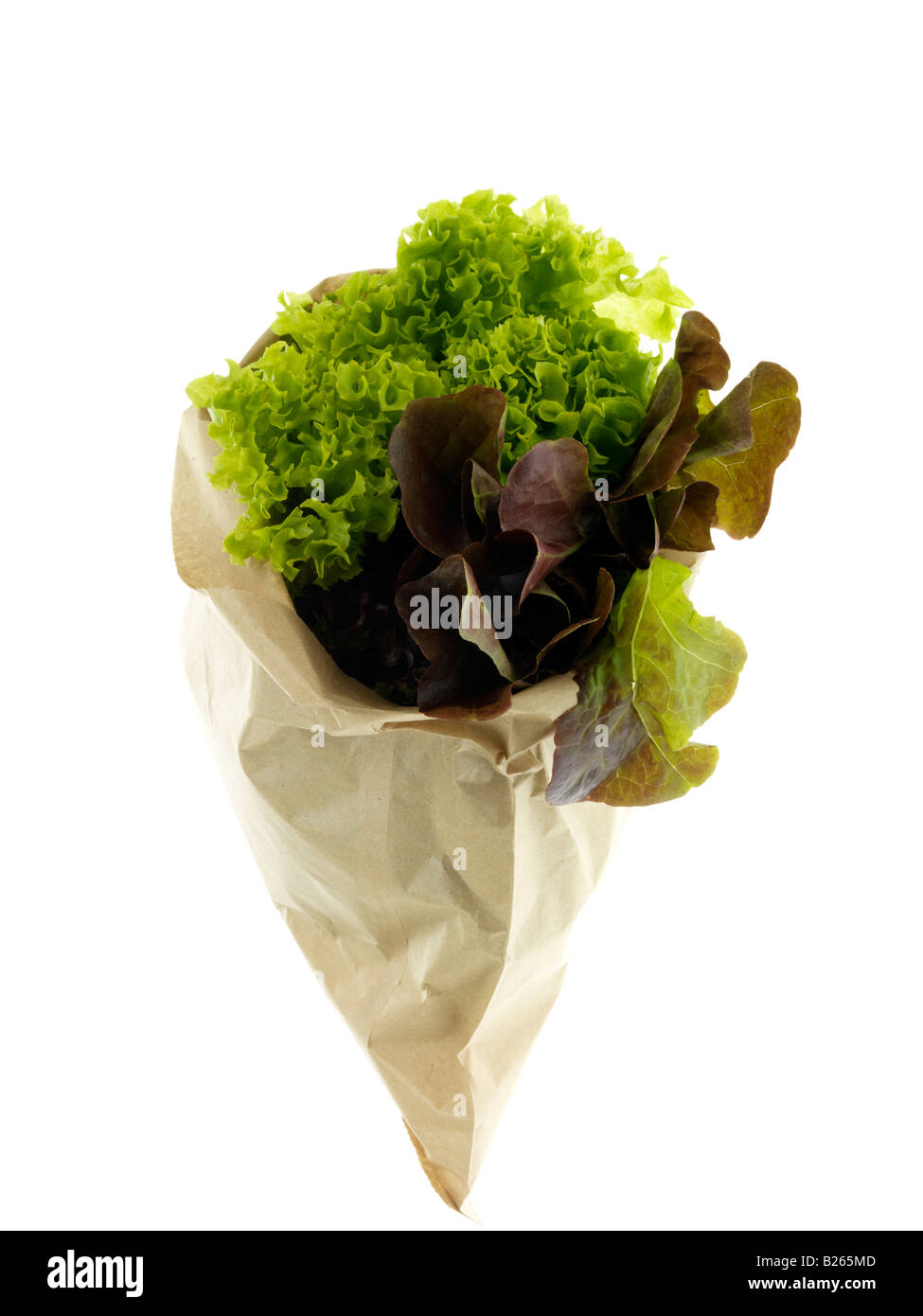 Lolo lettuce hi-res stock photography and images - Alamy