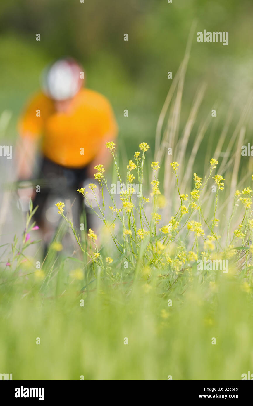 Foreground bushes hi-res stock photography and images - Alamy