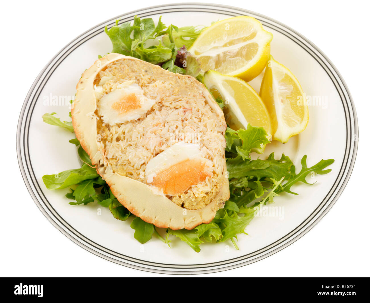 Dressed Crab Shell High Resolution Stock Photography and Images - Alamy