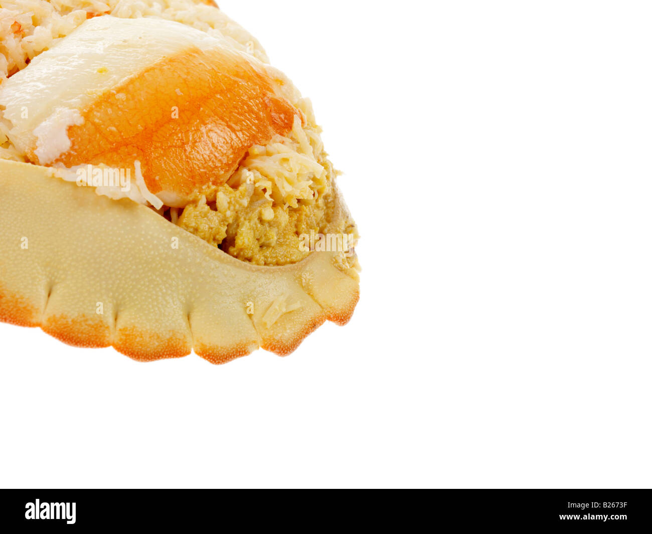 Fresh Healthy Dressed Crab Meat, Served In Its Shell, With No People ...