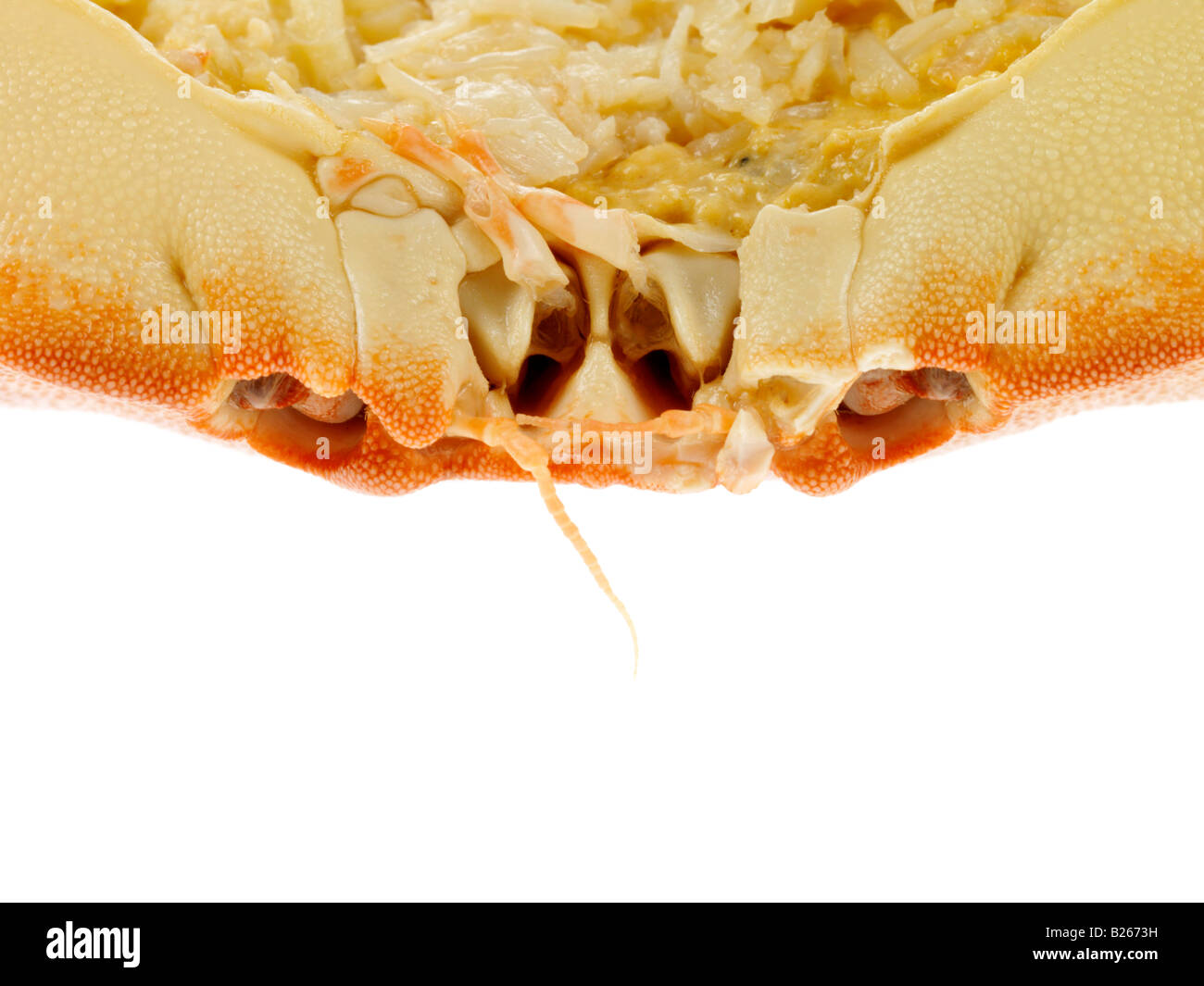 Dressed crab seafood hi-res stock photography and images - Alamy