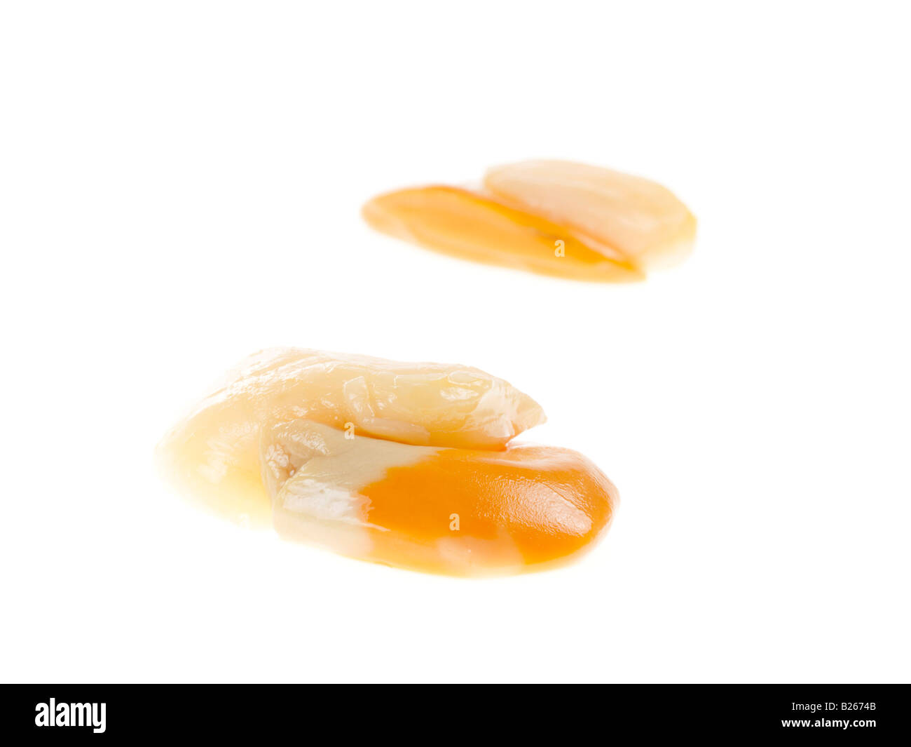 Fresh Sweet Uncooked Raw King Scallops Out OF Shell With No People ...