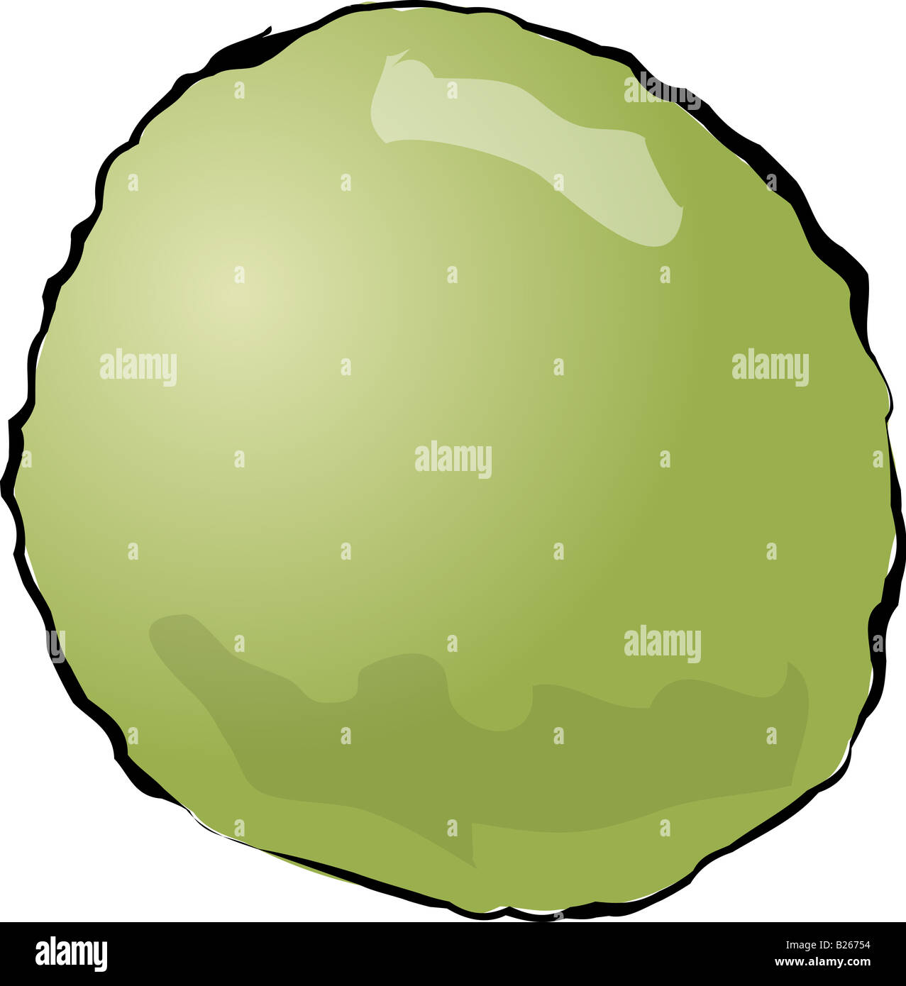 Sketch of a guava Hand drawn lineart look illustration Stock Photo - Alamy