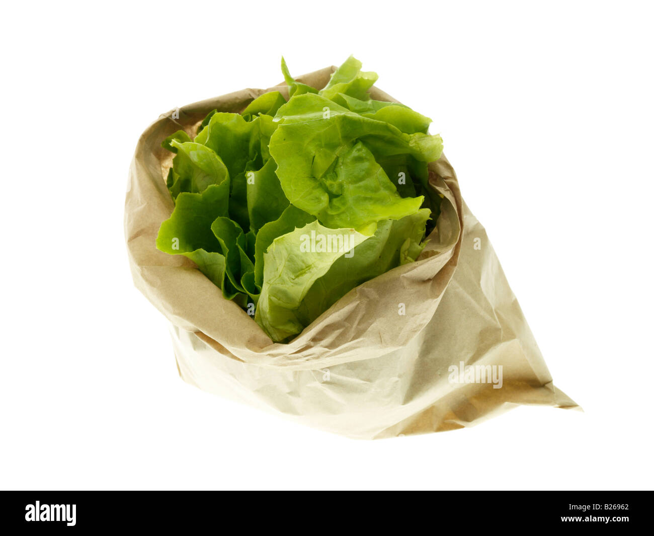 Round lettuce hi-res stock photography and images - Alamy