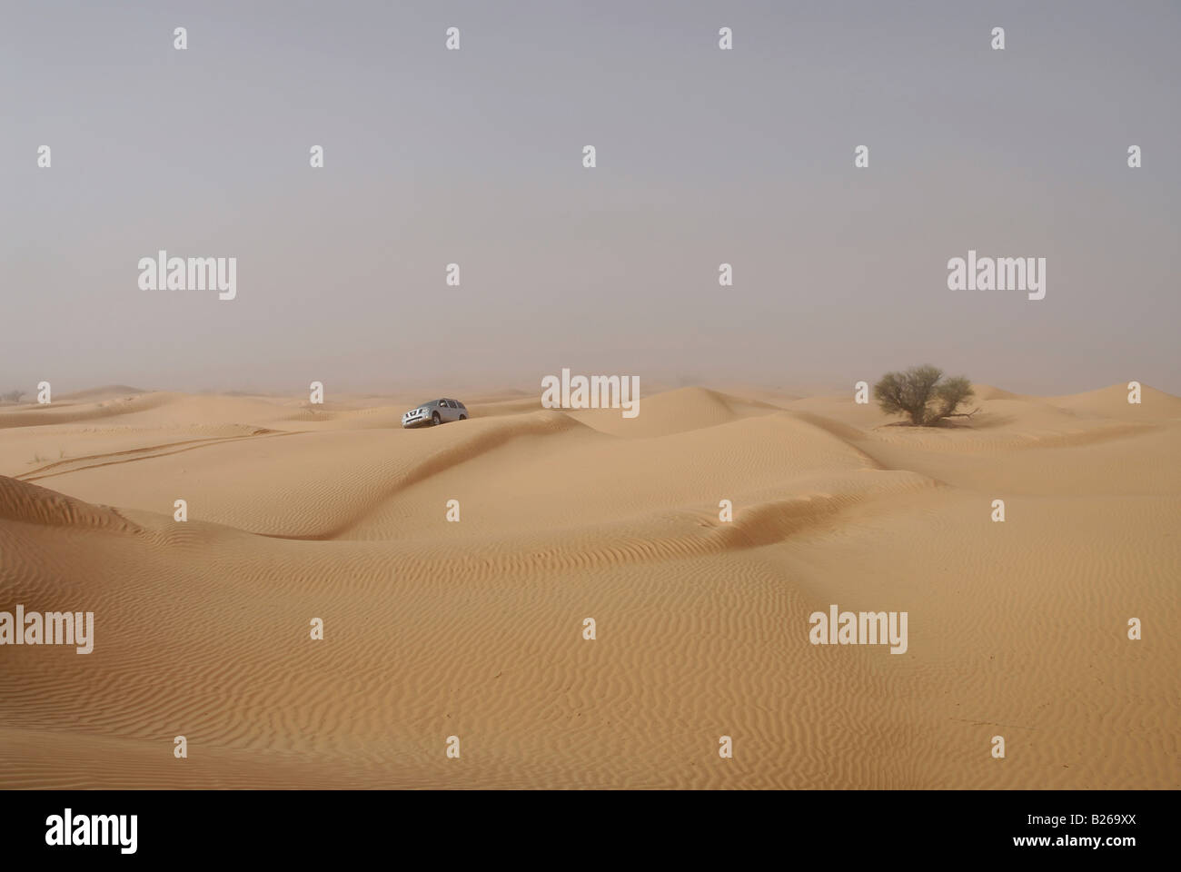 4x4 vehicle, jeep driving over sand dunes in the desert, Offroad 4x4 ...